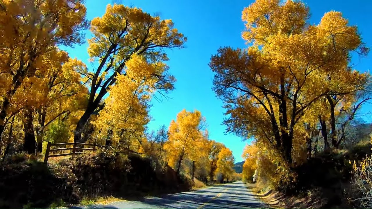 Spectacular Fall Season Drive Near Aspen, Colorado | Aspen TV